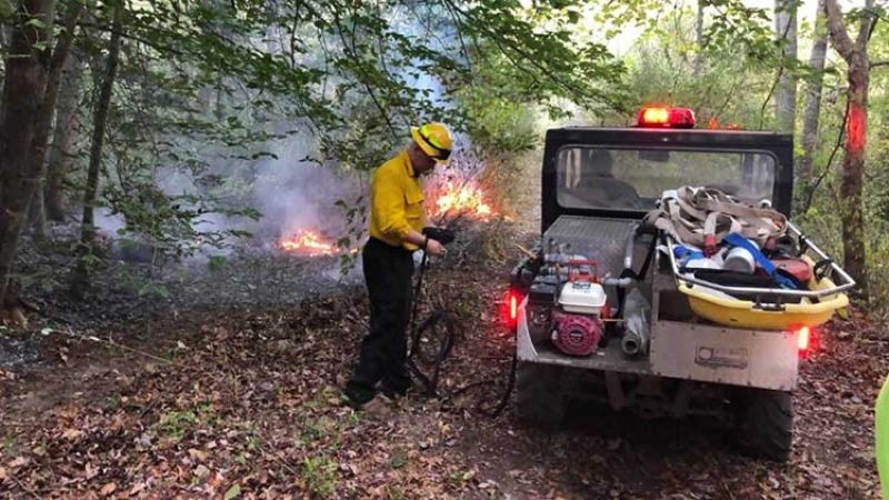 Fighting Forest Fire