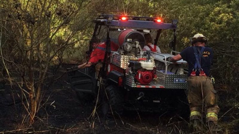 Oceana VFD, VA – FDH-203 in Cub Cadet